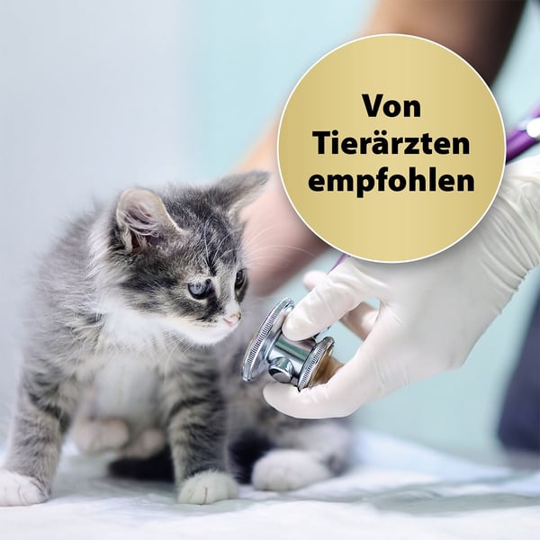 Felisept Home Comfort Raumdiffuser Set für Katzen 45ml