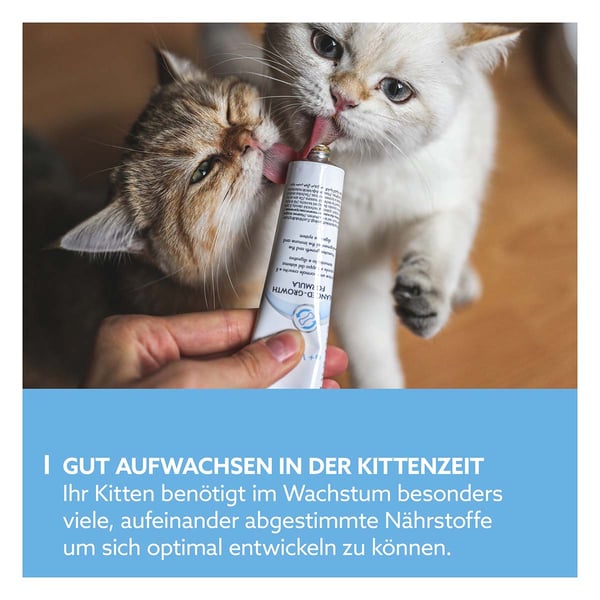 GimCat Kitten Paste 50g günstig kaufen bei ZooRoyal