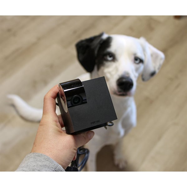 PetTec Haustierkamera Cam 360° günstig kaufen bei ZooRoyal