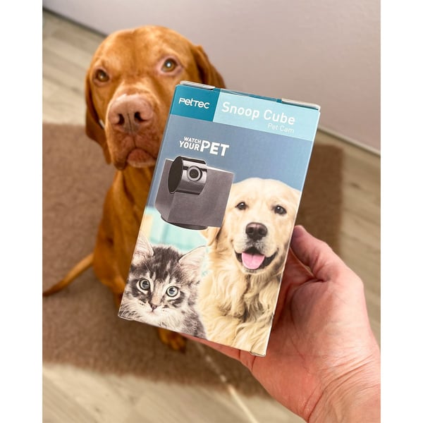 PetTec Haustierkamera Cam 360° günstig kaufen bei ZooRoyal