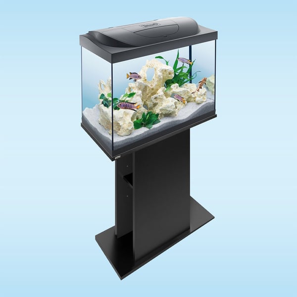 Tetra Starter Line LED Aquarium 80L günstig kaufen bei ZooRoyal