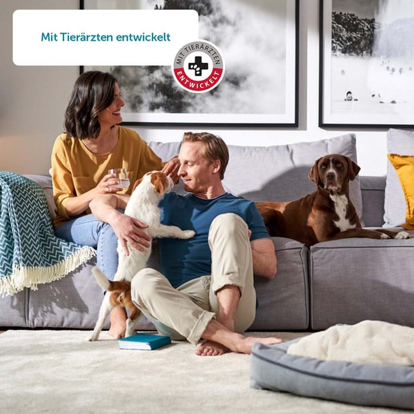 ZooRoyal Insekten Snaggs Sticks günstig kaufen bei ZooRoyal