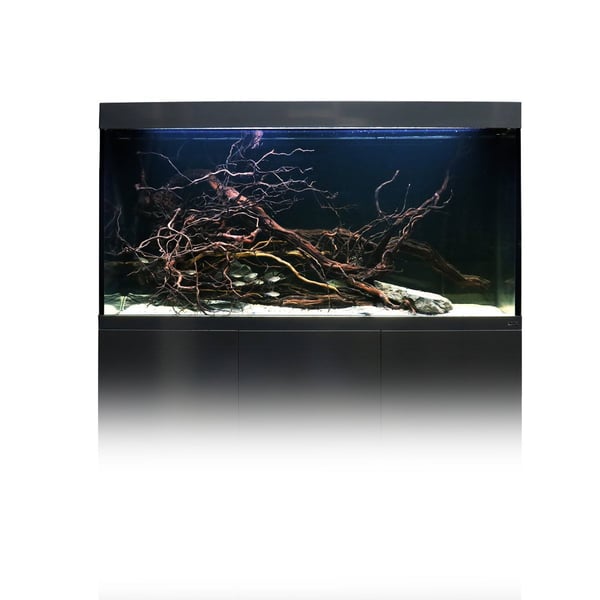 AMTRA Aquarium ALUX LED GREY günstig kaufen bei ZooRoyal