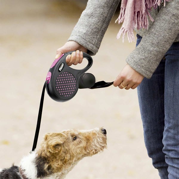 flexi Multi Box günstig kaufen bei ZooRoyal