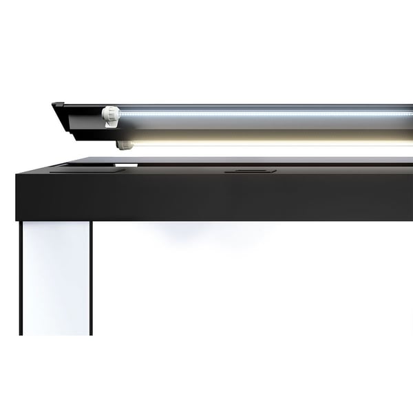 Juwel Rio 240 LED Komplett Aquarium ohne Schrank bei ZooRoyal
