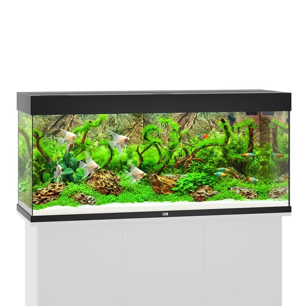 Juwel Rio 240 LED Komplett Aquarium ohne Schrank bei ZooRoyal