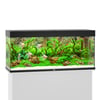 Juwel Rio 240 LED Komplett Aquarium ohne Schrank bei ZooRoyal