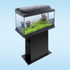 Tetra Starter Line LED Aquarium 105L günstig kaufen bei ZooRoyal