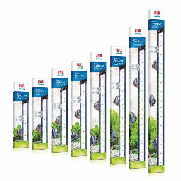 Juwel HeliaLux Spectrum LED INT günstig kaufen bei ZooRoyal