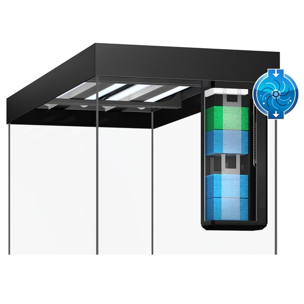 Juwel Rio 240 LED Komplett Aquarium ohne Schrank bei ZooRoyal