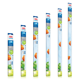 Osvětlení akvária - akvarijní LED světla | ZooRoyal.cz