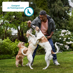 ZooRoyal Gourmet Sticks Mega Mixpaket 50x6x11g bei ZooRoyal