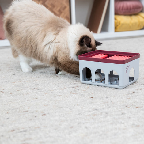 Trixie Cat Activity Rod Box günstig kaufen bei ZooRoyal