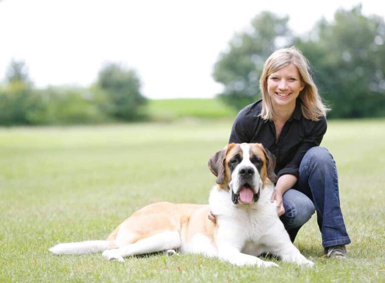 Der Ardenner im Rasseportrait | ZooRoyal Magazin