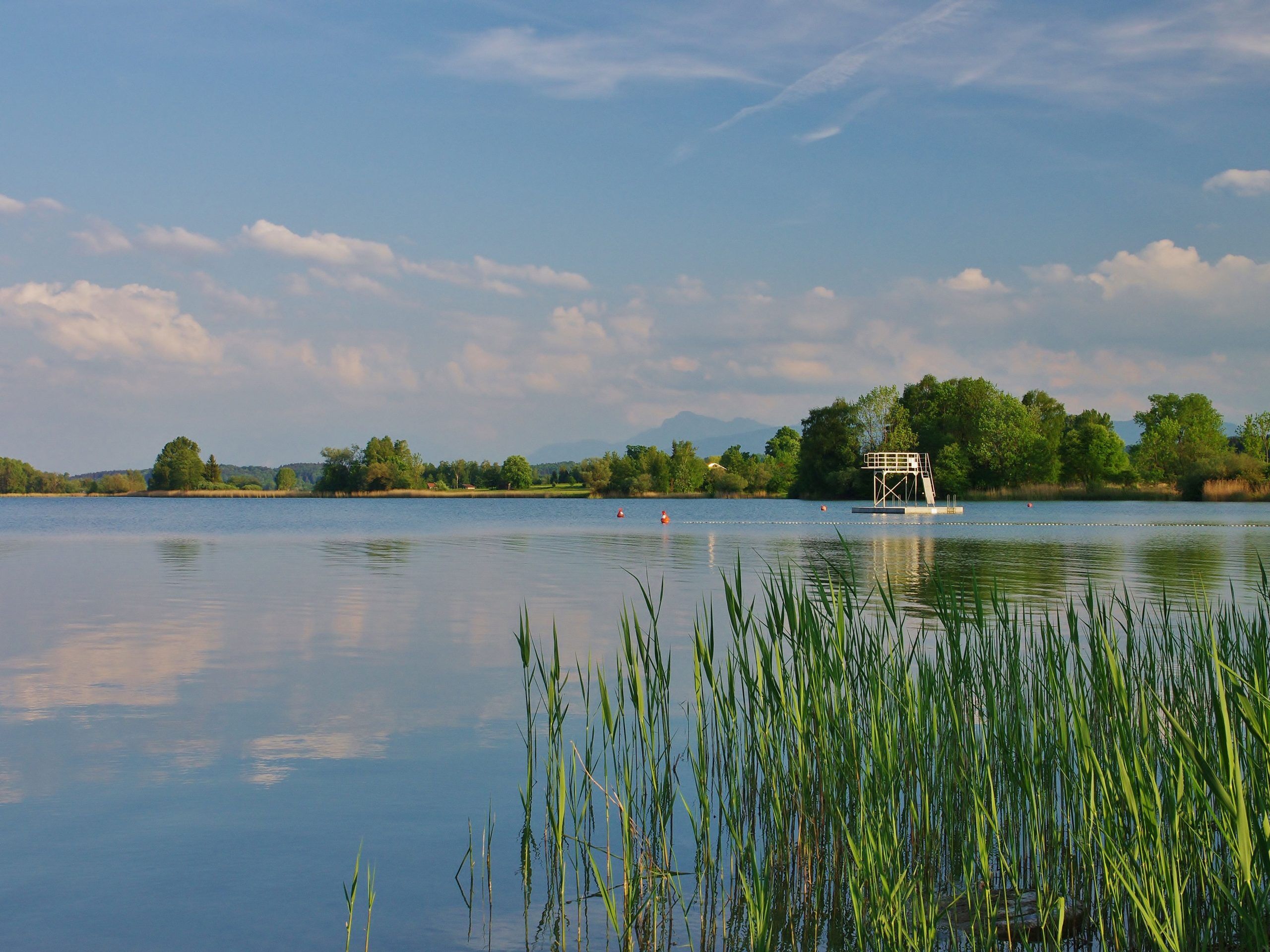 Taching am See im Chiemgau, Bayern | ZooRoyal Magazin