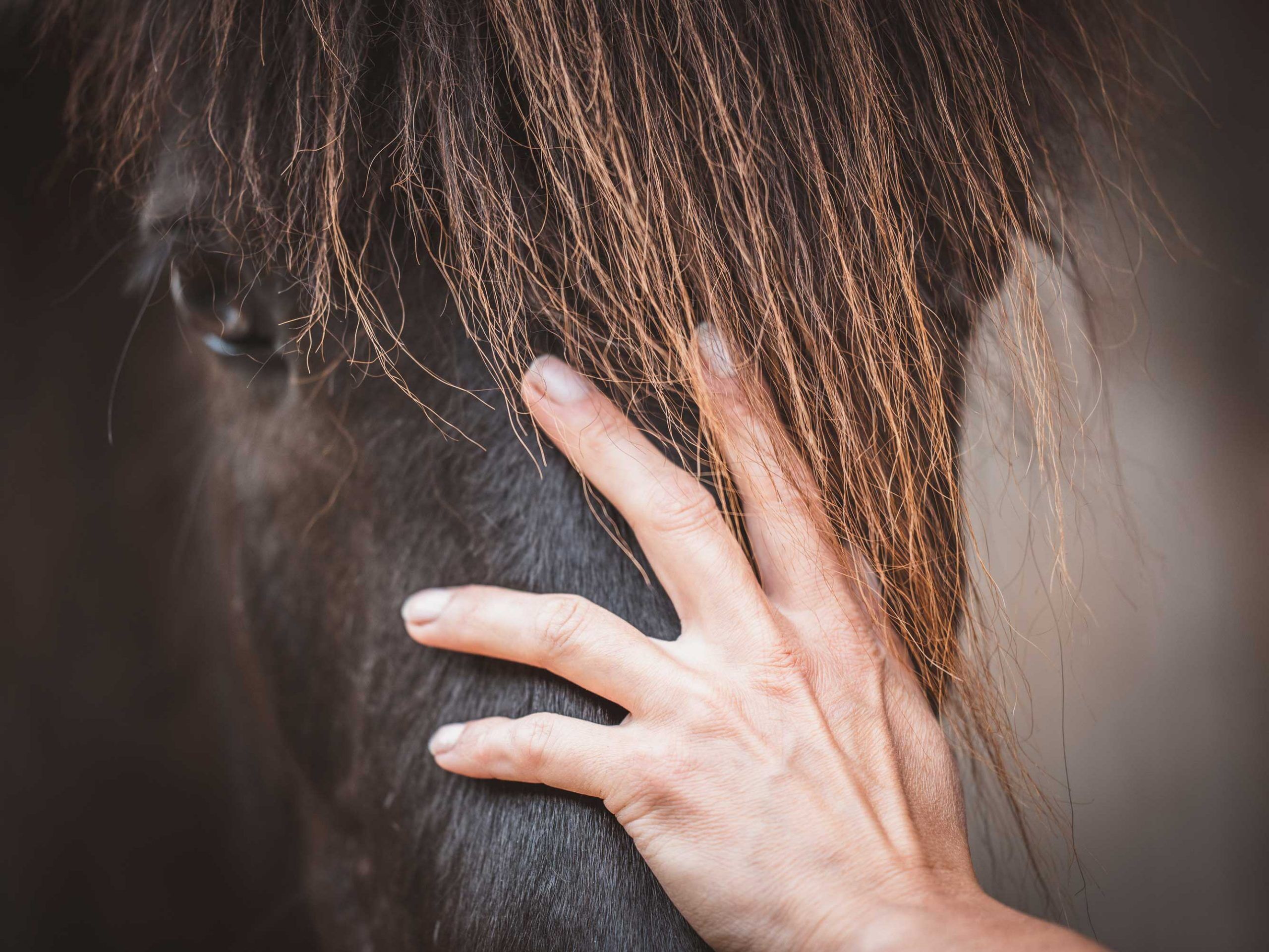 Tiergespräche: häufige Fragen | ZooRoyal Magazin