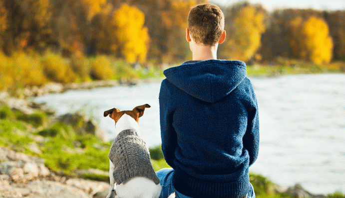 Gehmeditation mit Hund - Infos & Anleitung | ZooRoyal Magazin