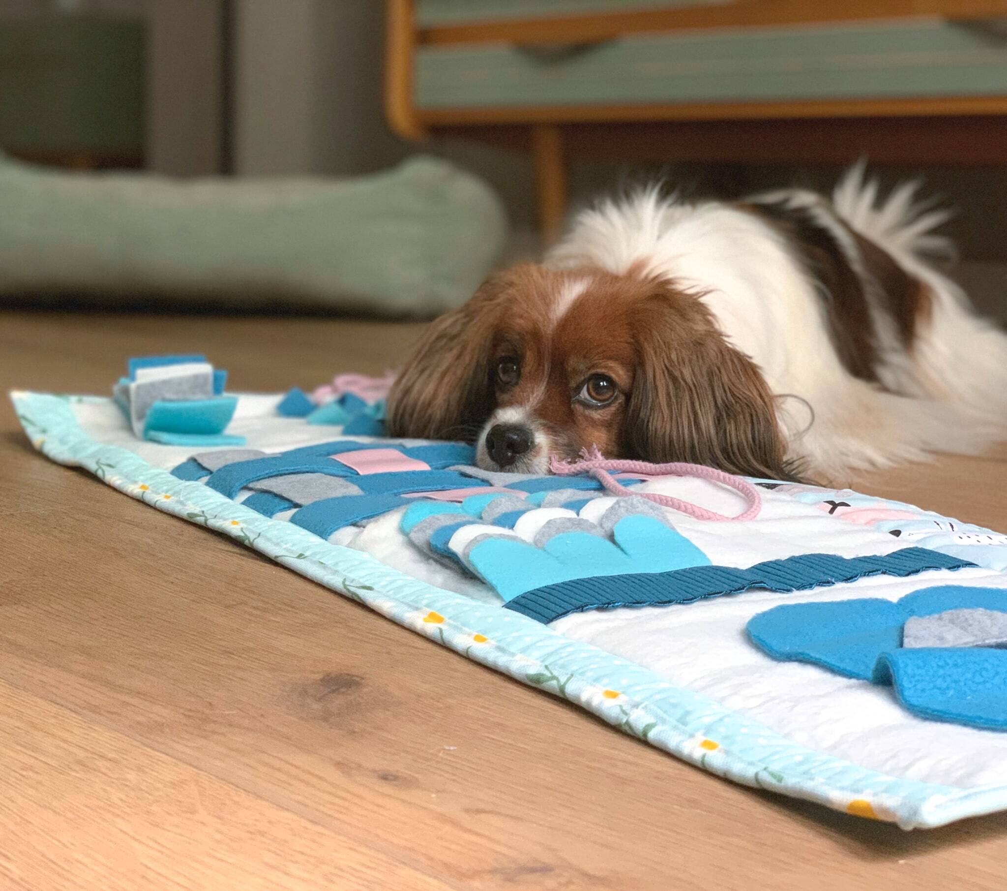 Schnüffelteppich für Hunde selber machen | DIY mit Anleitung