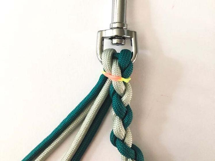 Paracord Leine Selber Machen