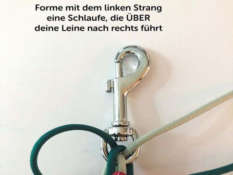 Paracord Leine für Hunde selber machen | DIY mit Anleitung