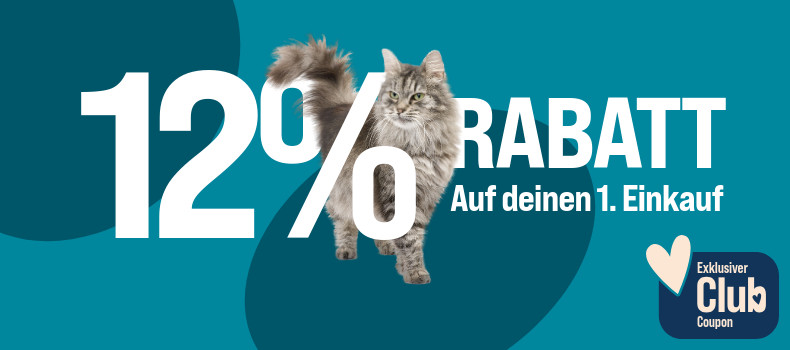 Katzenzubehör & Katzenbedarf günstig im Katzenshop | ZooRoyal