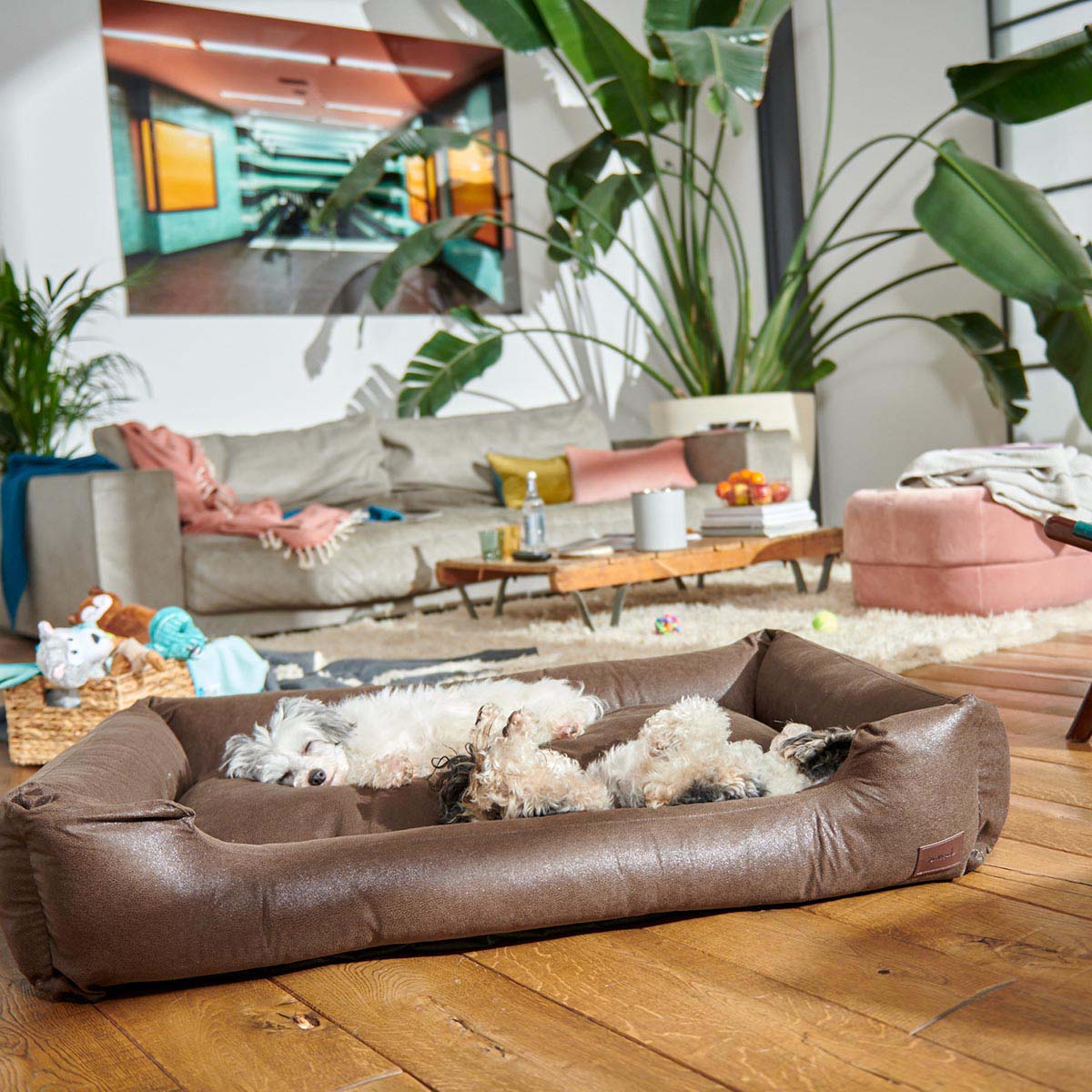 Braune Hundebetten online kaufen | ZooRoyal